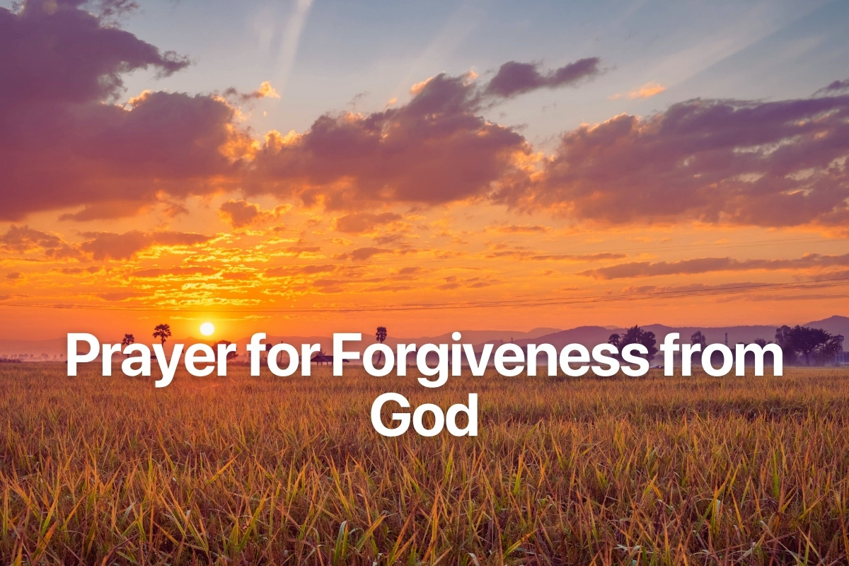 Seek God's Forgiveness: A Heartfelt Prayer for Redemption and Grace