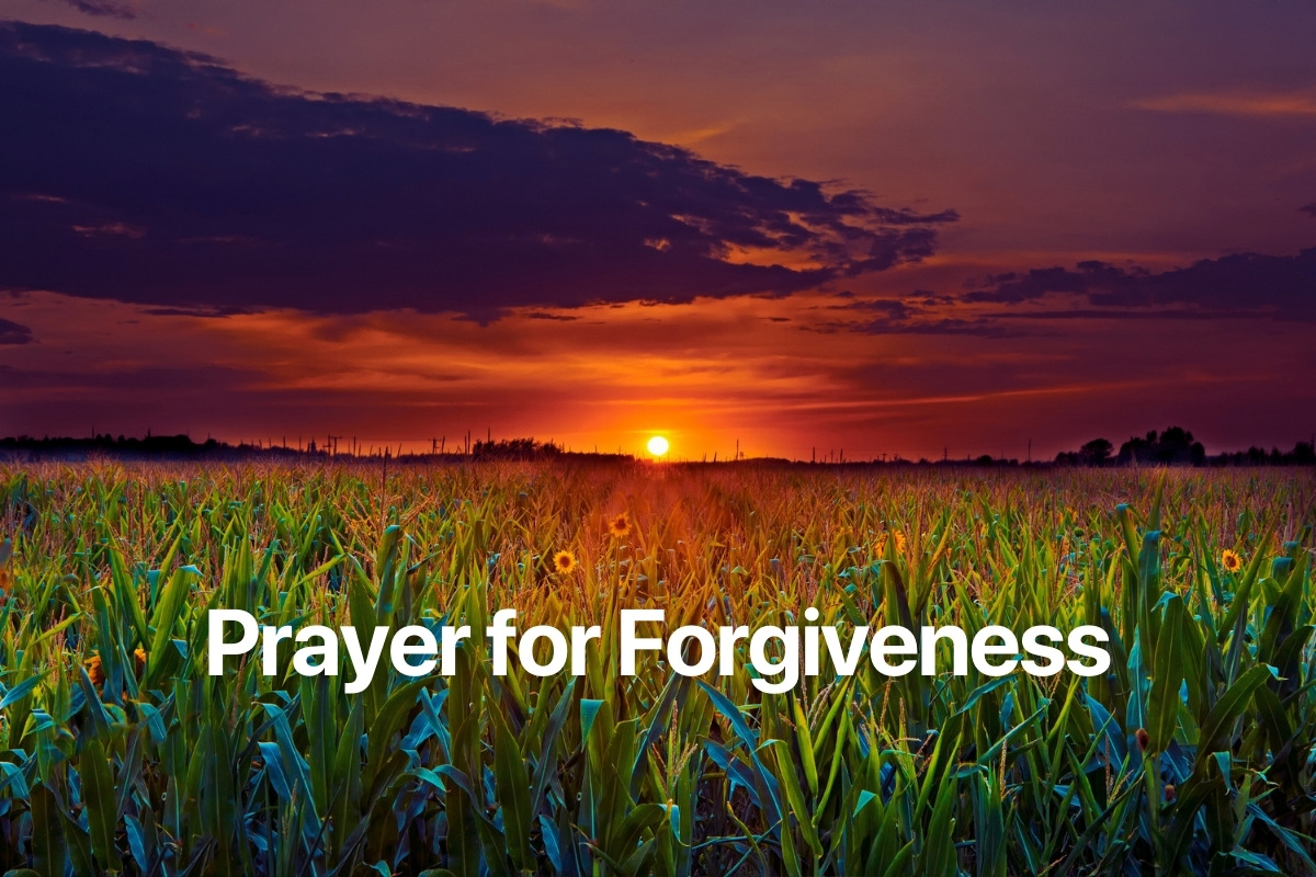 Powerful Prayer for Forgiveness: Find Healing and Redemption Today