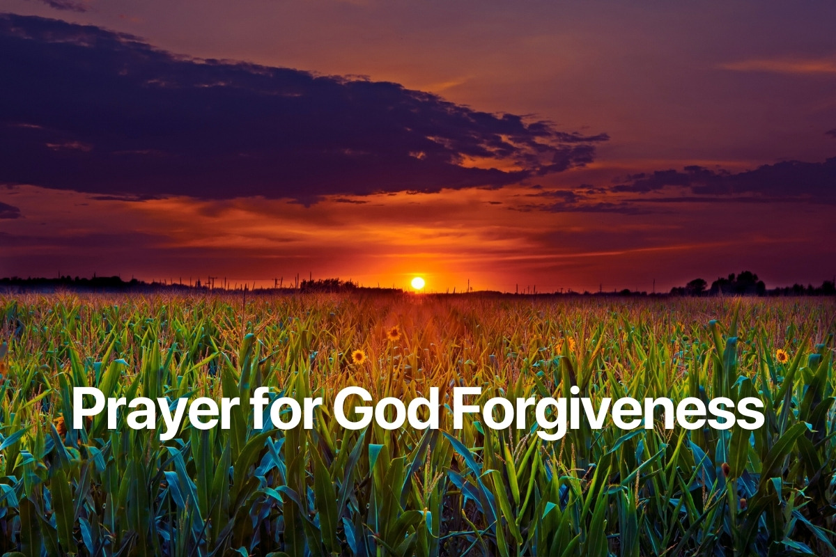 Seek God's Forgiveness: A Powerful Prayer for Renewal and Grace