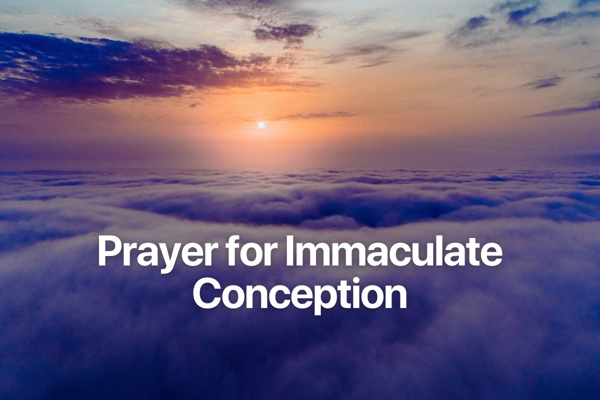 Powerful Prayer for the Immaculate Conception of the Blessed Virgin Mary