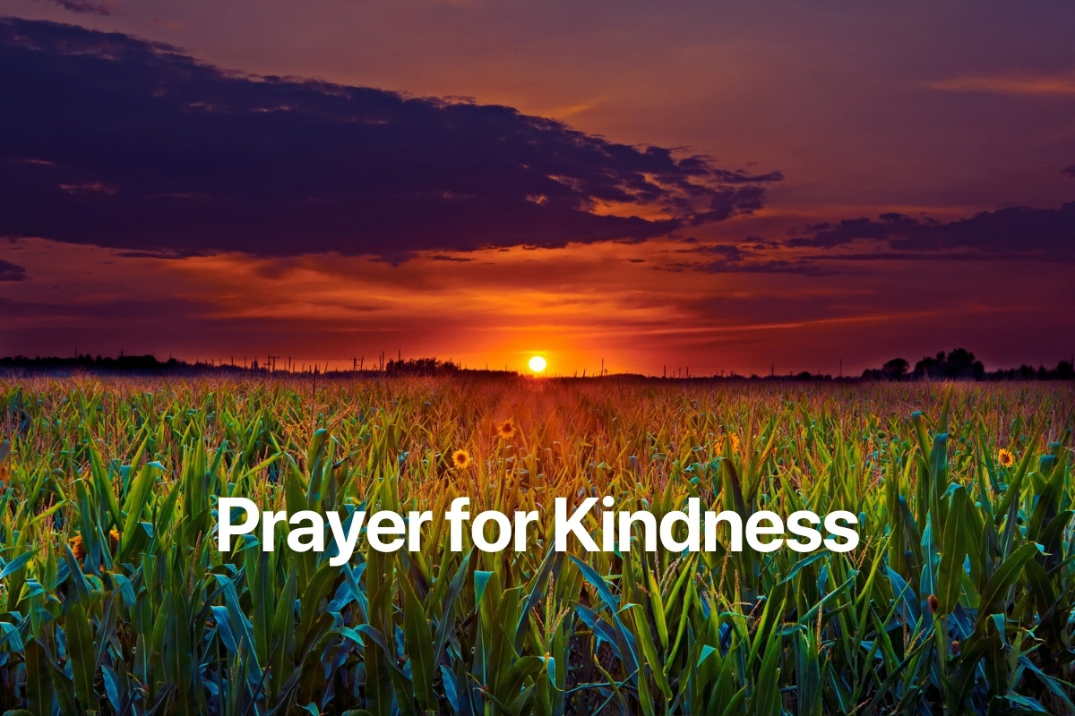 Transform Your Heart: A Powerful Prayer for Kindness and Compassion