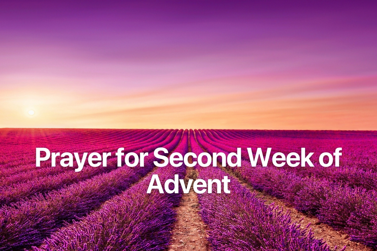 Embrace Peace: Prayer for the Second Week of Advent