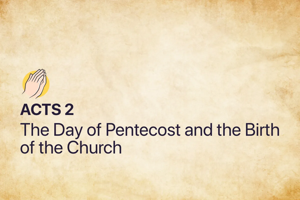 New Testament: A Guide to the Life and Teachings of Jesus Christ